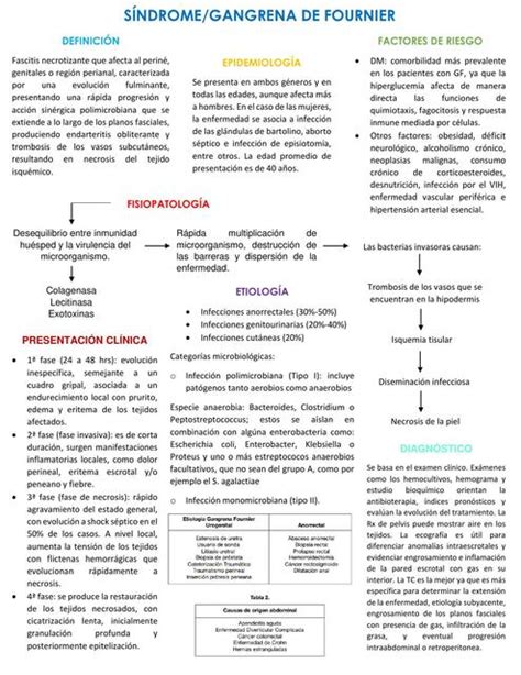 SÍndrome Gangrena De Fournier Mintzy Herley Udocz
