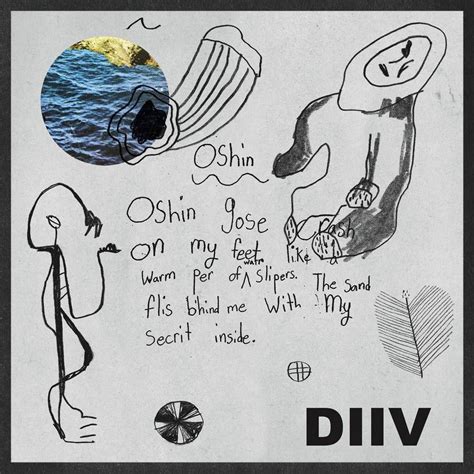 Diiv Oshin Lp The Vinyl Store
