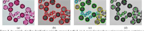 Figure 2 From Improving Pollen Classification With Less Training Effort