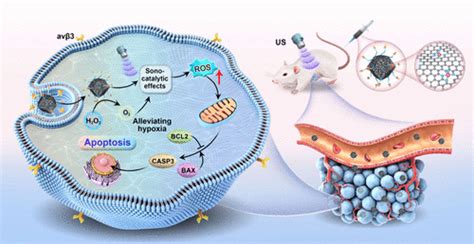 Regulating Manganese Site Electronic Structure Via Reconstituting Nitrogen Coordination For