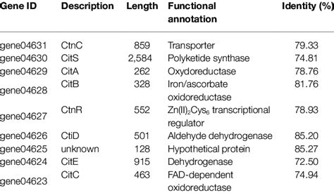 The Citrinin Biosynthesis Gene Cluster Download Scientific Diagram