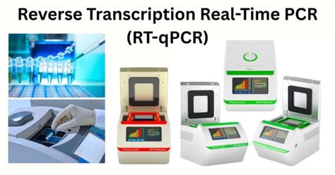 Rt Qpcr Principle Steps Types Kits Examples Applications