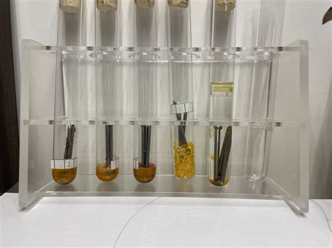 Experiment Report Rusting Of Nails Lon X Art