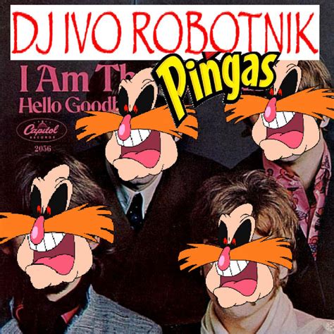 I Am The Pingas Dj Ivo Robotnik Record Records