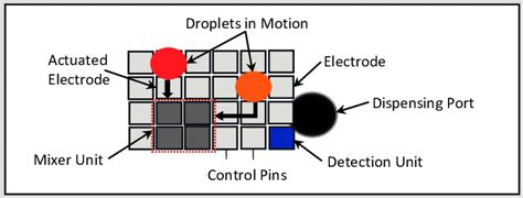 Structure Of A Dmf Biochip Download Scientific Diagram