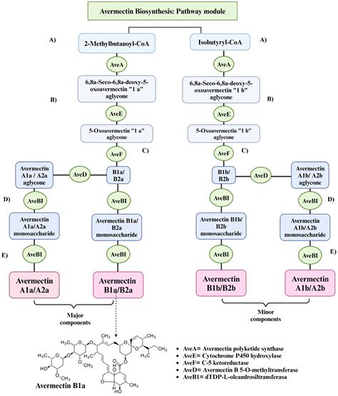 Potential Of Streptomyces Avermitilis A Review On Avermectin Production And Its Biocidal Effect