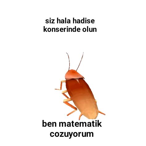 Dancing Roach Animated  Maker Piñata Farms The Best Meme