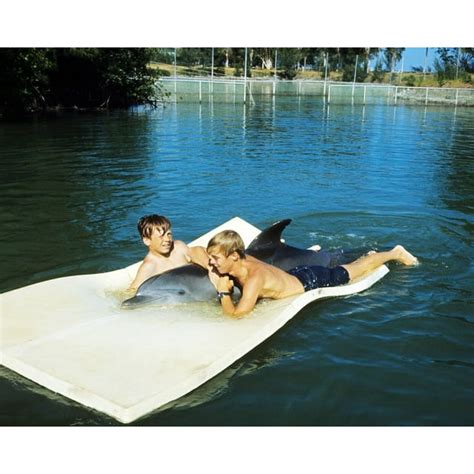 Flipper 24x36 Classic Hollywood Poster Luke Halpin As Sandy Ricks And Tommy Norden As Bud Ricks