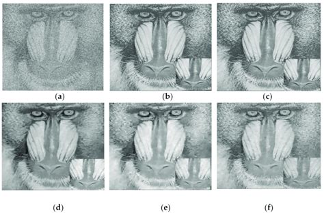 outputs of the proposed algorithms compared with different methods in