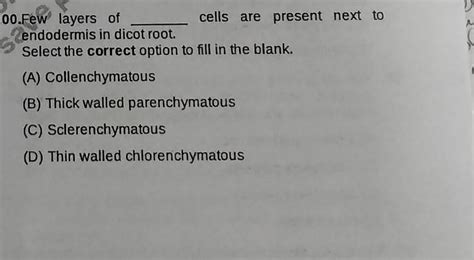 00few Layers Of Cells Are Present Next To Endodermis In Dicot Root Sel