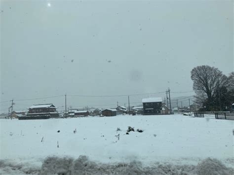 今シーズン初雪、そして大雪 Friend ＆contact 〜花色の時〜