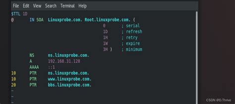 Linux实验记录：使用bind提供域名解析服务 Bind服务 Csdn博客