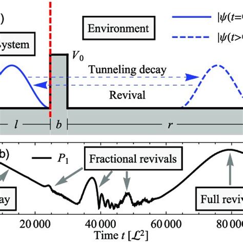 Tunneling In A One Dimensional Asymmetric Double Well Potential A Download Scientific
