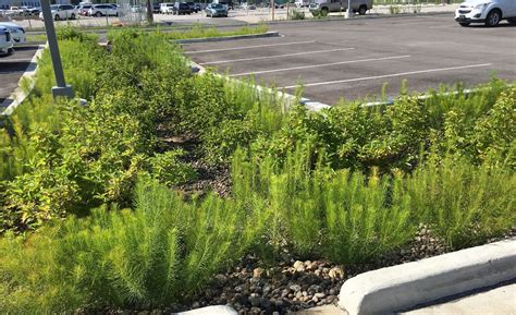 Storm Smart Cities Integrating Green Infrastructure Into Local Hazard