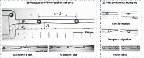 A Propagation Of Interfacial Perturbation Waviness Amplitude Grows