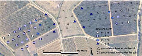 Representation Of The Observed Bedrock Depth And The Groundwater Level