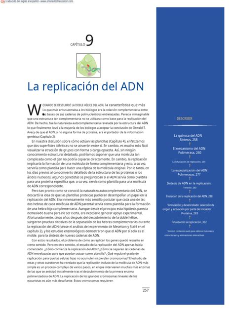 Lectura Replicación Del Adn 01 25 En Es Pdf Adn Replicación