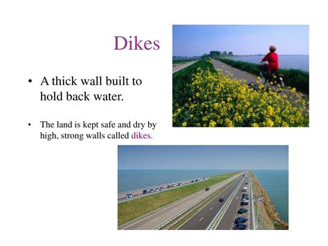 PPT Lesson 2 The Hole In The Dike PowerPoint Presentation Free Download ID 549190