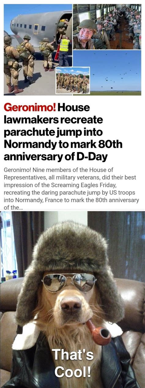 Geronimo Memes Hoje é Dia Da Cachaça💥 Separamos Alguns Memes