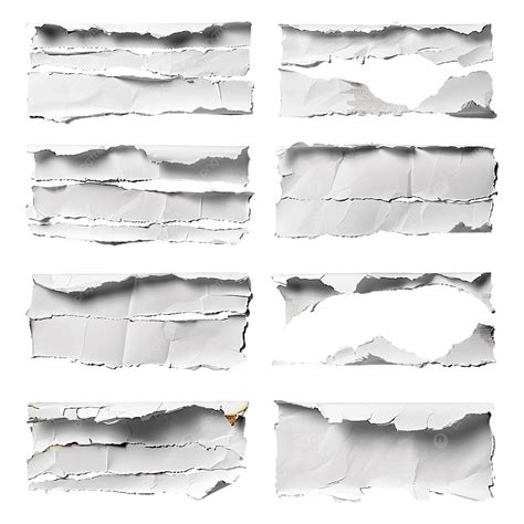 Collection Of Ripped Torn Paper Binder Paper Paper Ripped Torn Png