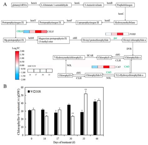 Plants Special Issue Recent Advances In Plant Genomics And