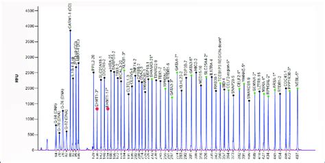 The Result From Sample 3a Analysed By Coffalyser Software Bigger Red Download Scientific