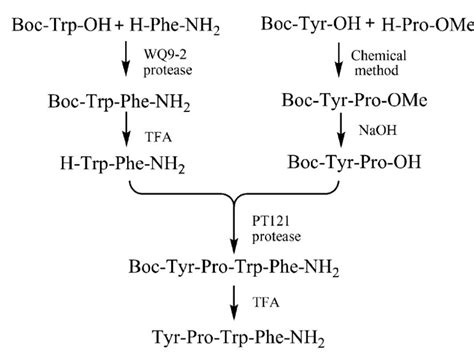 Cas 189388 22 5 Endomorphin 1 Boc Sciences