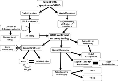 Ppt Pathophysiology And Diagnosis Of Gerd Powerpoint