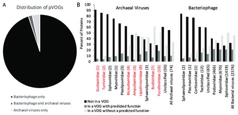 Analysis Of Genes From Double Stranded Dna Dsdna Viruses In The Download Scientific Diagram