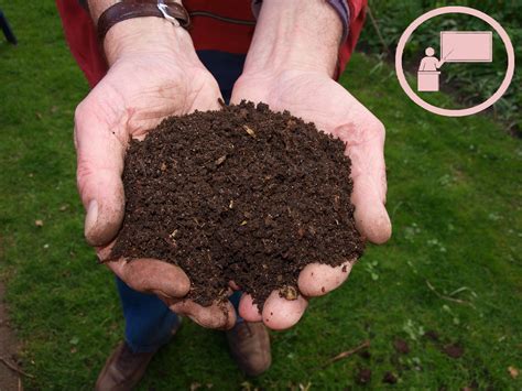 Classes Backyard Regeneration