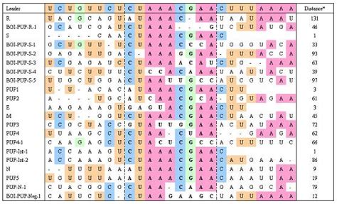 The Trs Sequences In The Sars Cov Genome Isolate Bj01 This Refers
