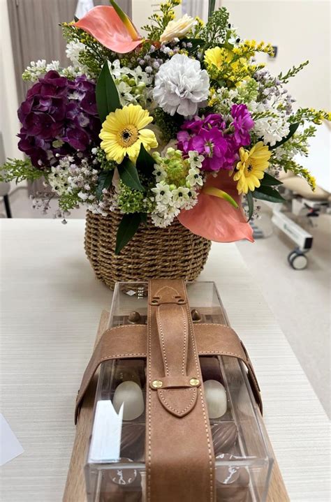 Jafaru Abu On Linkedin Burjeelmedicalcity Advancedgynecologyinstitute Gynoncology