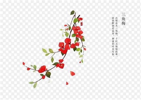 三角梅花语png图片素材下载图片编号9466430 Png素材网