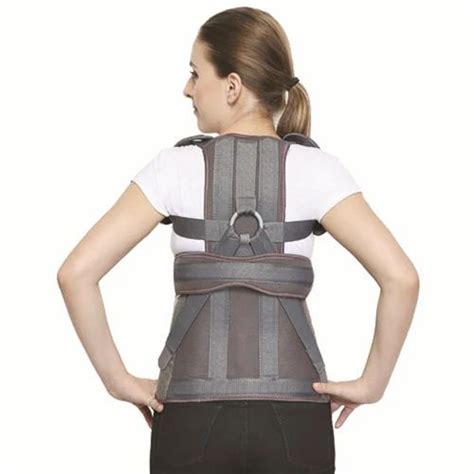 Rigid Plastic Back Support Brace Size L At ₹ 410 Piece In New Delhi Id 2855563782262