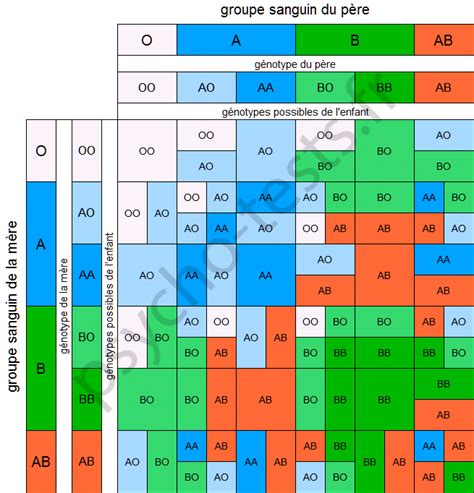 Test Groupe Sanguin Quel Groupe Sanguin Je Suis Calculer Son Groupe Sanguin