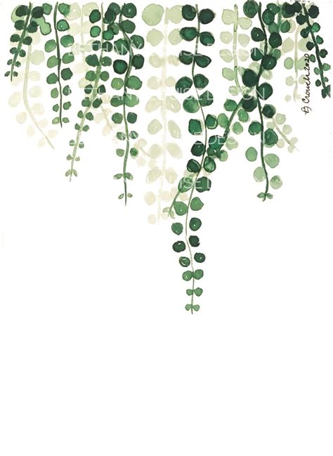 Trailing Vines 5x7 Digital Art Etsy Canada Vine Drawing Plant Art