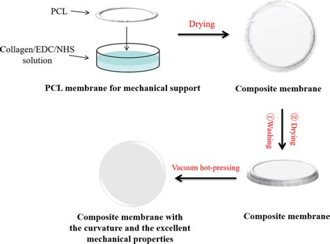 Preparation Process Of Col−pcl Composite Membranes Download