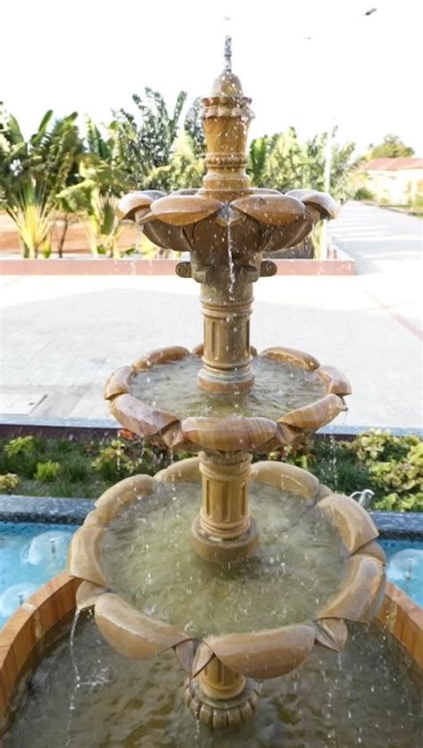 Ayush Gram Wellness Resort Luxury Wedding Resort Ayushgramresort