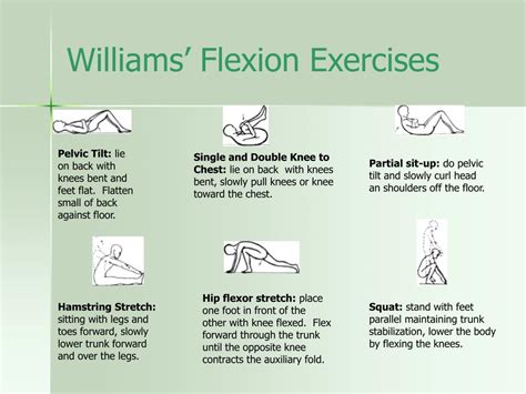 Williams Flexion Exercises Printable