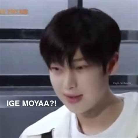 Sunoo Iland Meme Kpop Wajah Lucu Meme Lucu Humor Lucu