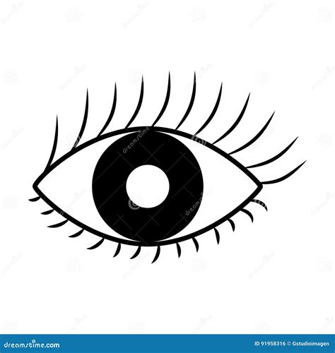 Female Eye Icon Stock Vector Illustration Of Shiny Vision 91958316