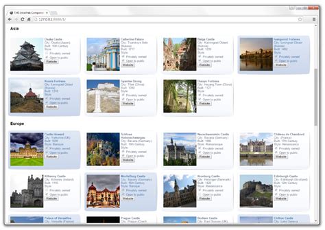 Tms Intraweb Component Pack Pro Over 70 Components For Building Feature