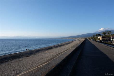 沼津・千本松原で見る2016年最後の日の入り