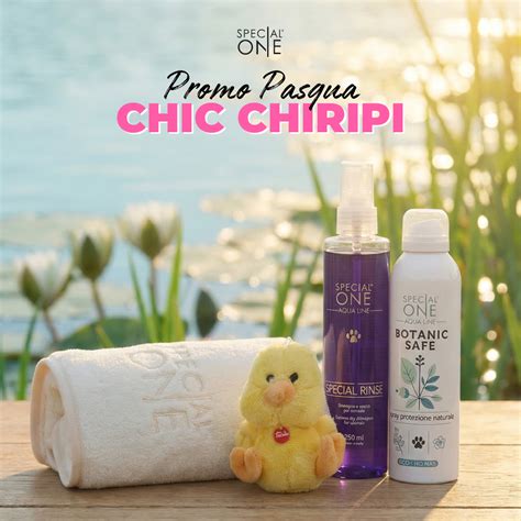 🐥chic Chiripi🐥 Special One Grooming Center