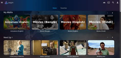 Jellyfin Custom Css R Jellyfin