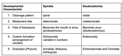 Phylum Placozoa Diagram Quizlet