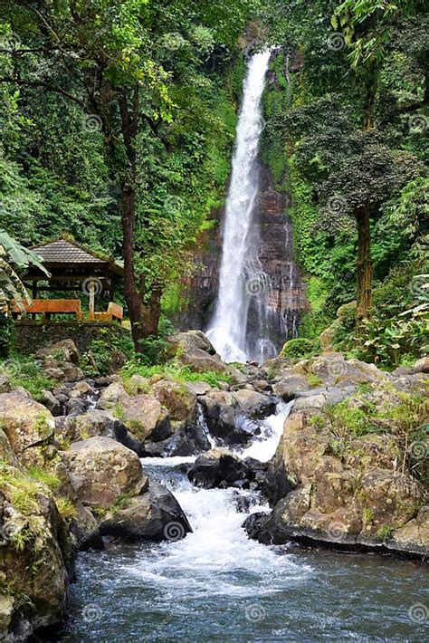 Gitgit Waterfall Atsingaraja Regency Of Bali Indonesia Stock Image
