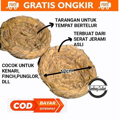 Jual Tarangan Serat Jerami Burung Kenari Sarang Burung Kenari Shopee Indonesia