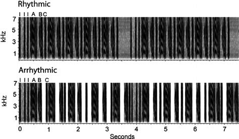 Representative Spectrograms Of Rhythmic And Arrhythmic Song Images