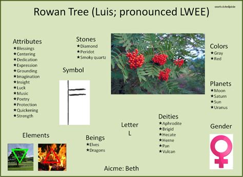 One Twisted Pixie Photo Artofit